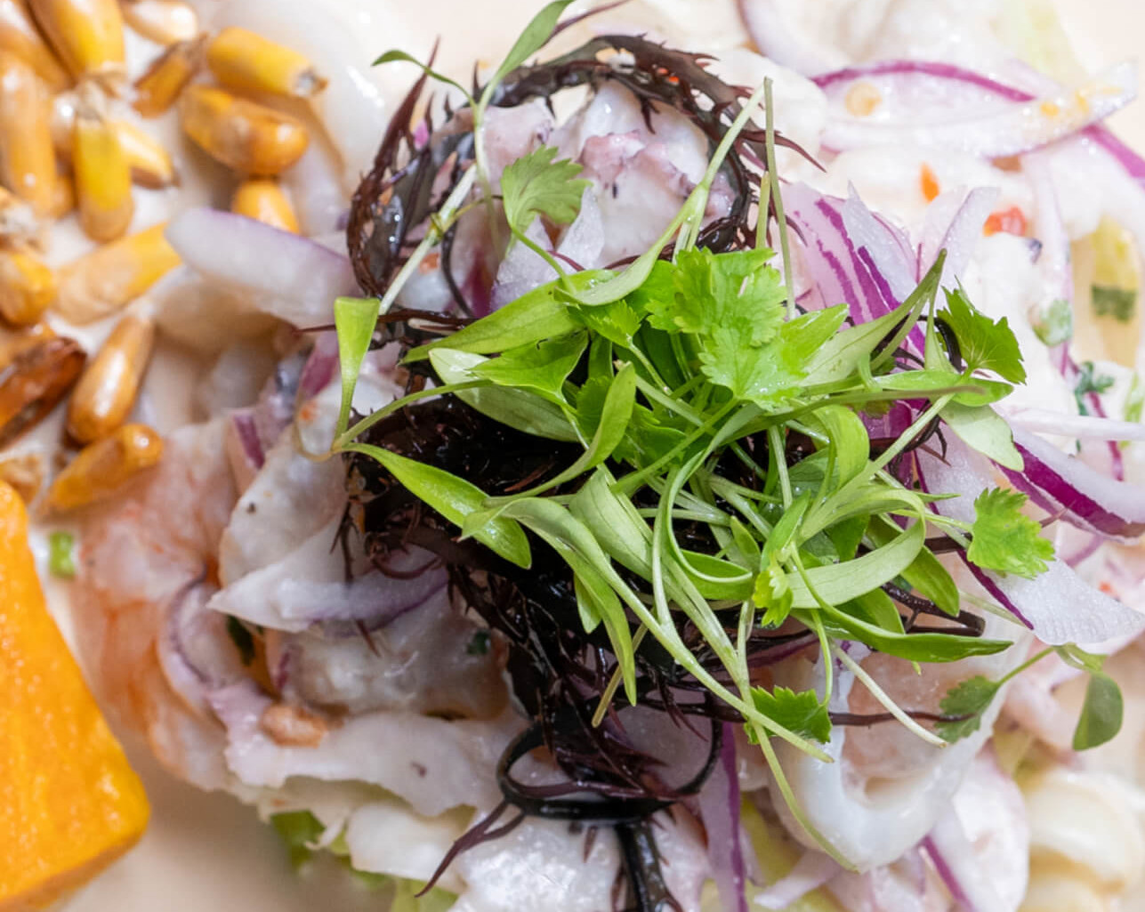 The Ultimate Guide to Authentic Ceviche in Miami: Where Tradition Meets ...